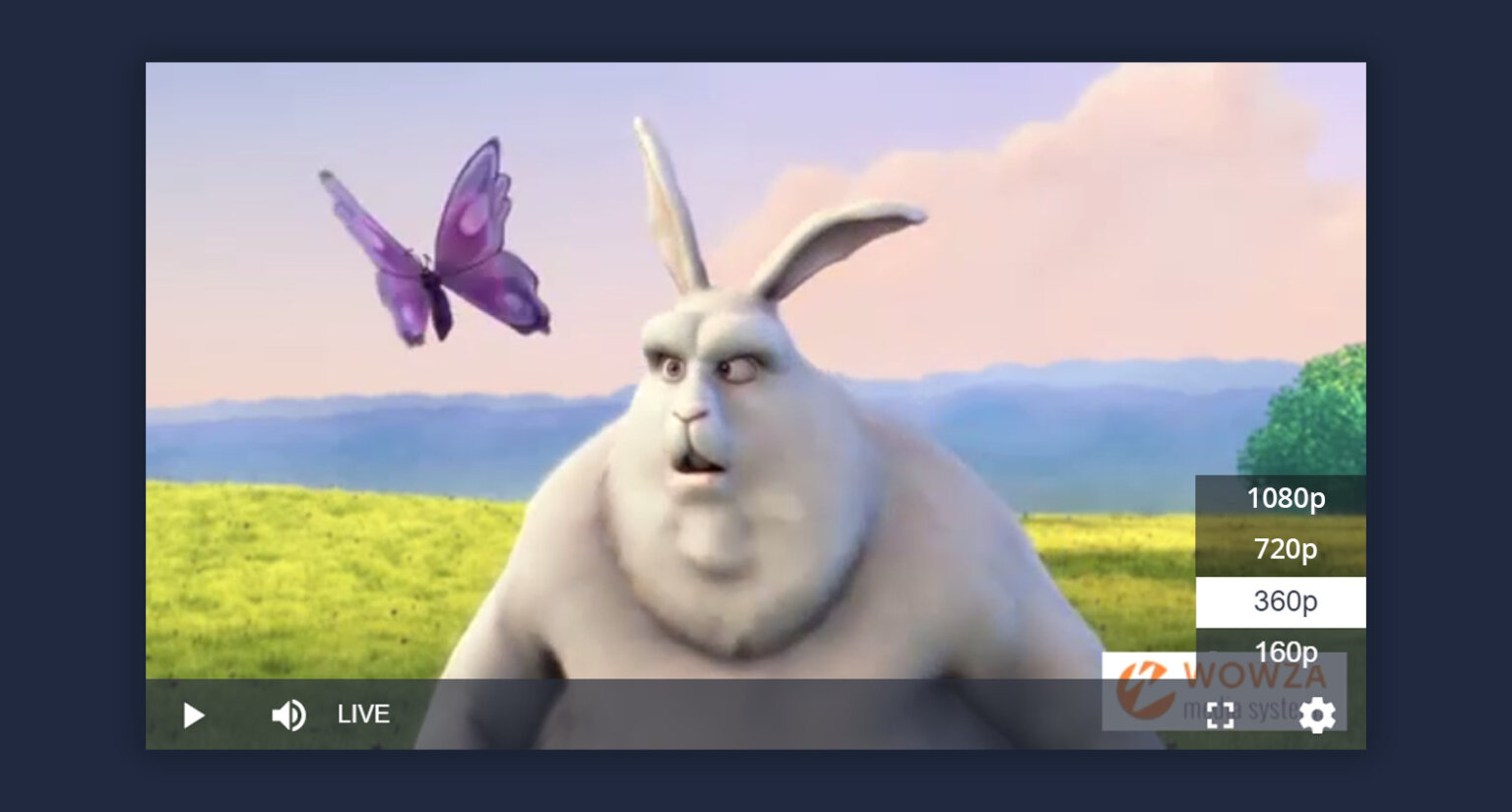 Video Streaming Panel - Media Control Panel